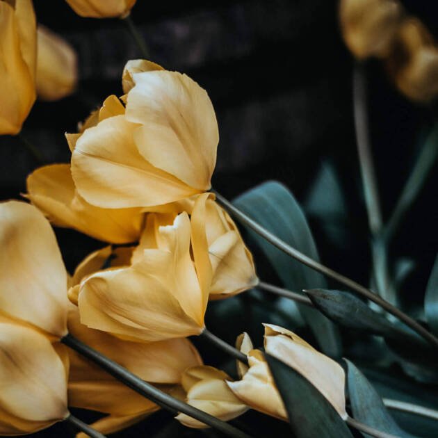 Obituaries – Hall Davis & Sons